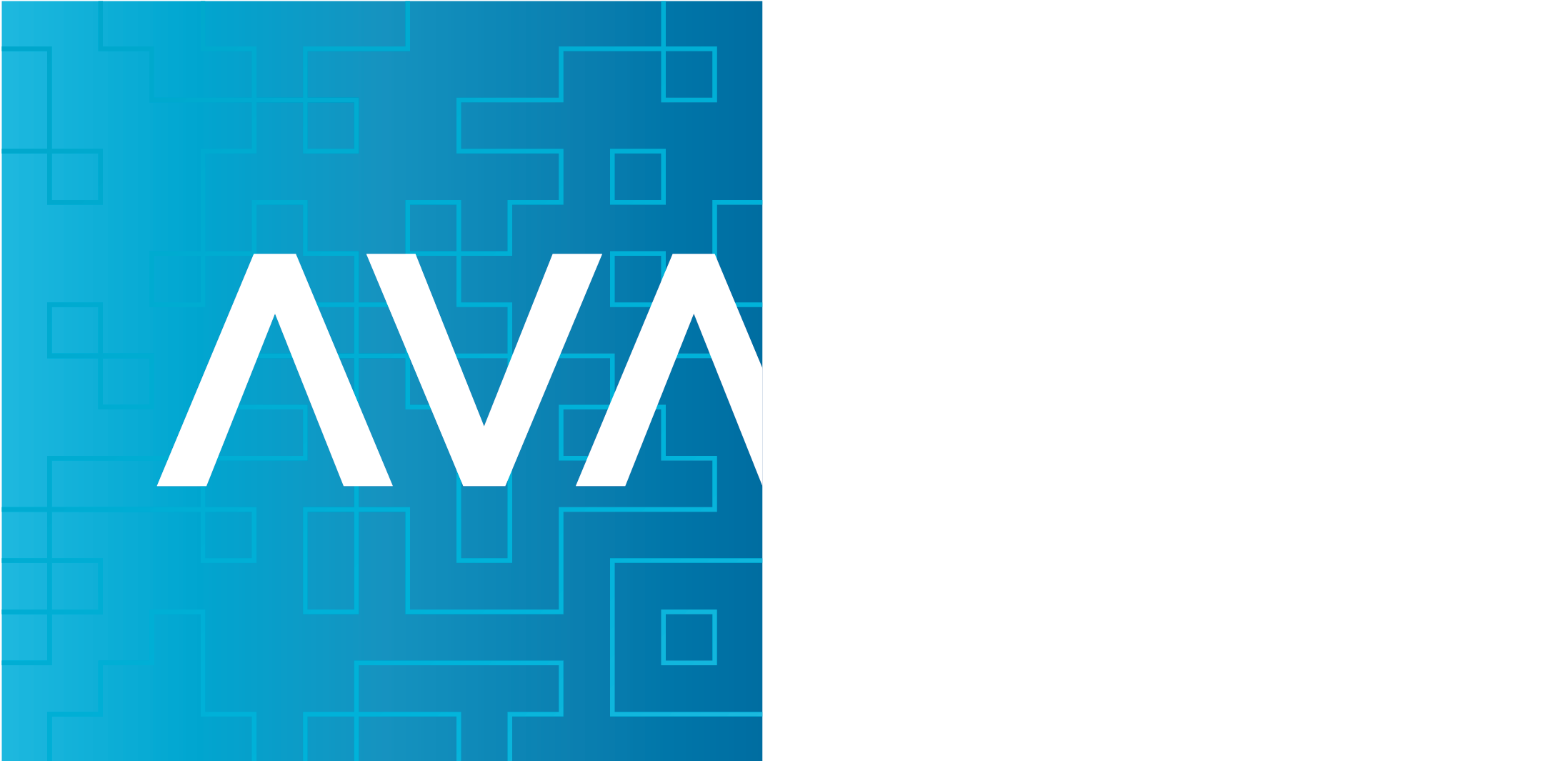 AVA – Fast and low-cost customization of digital business