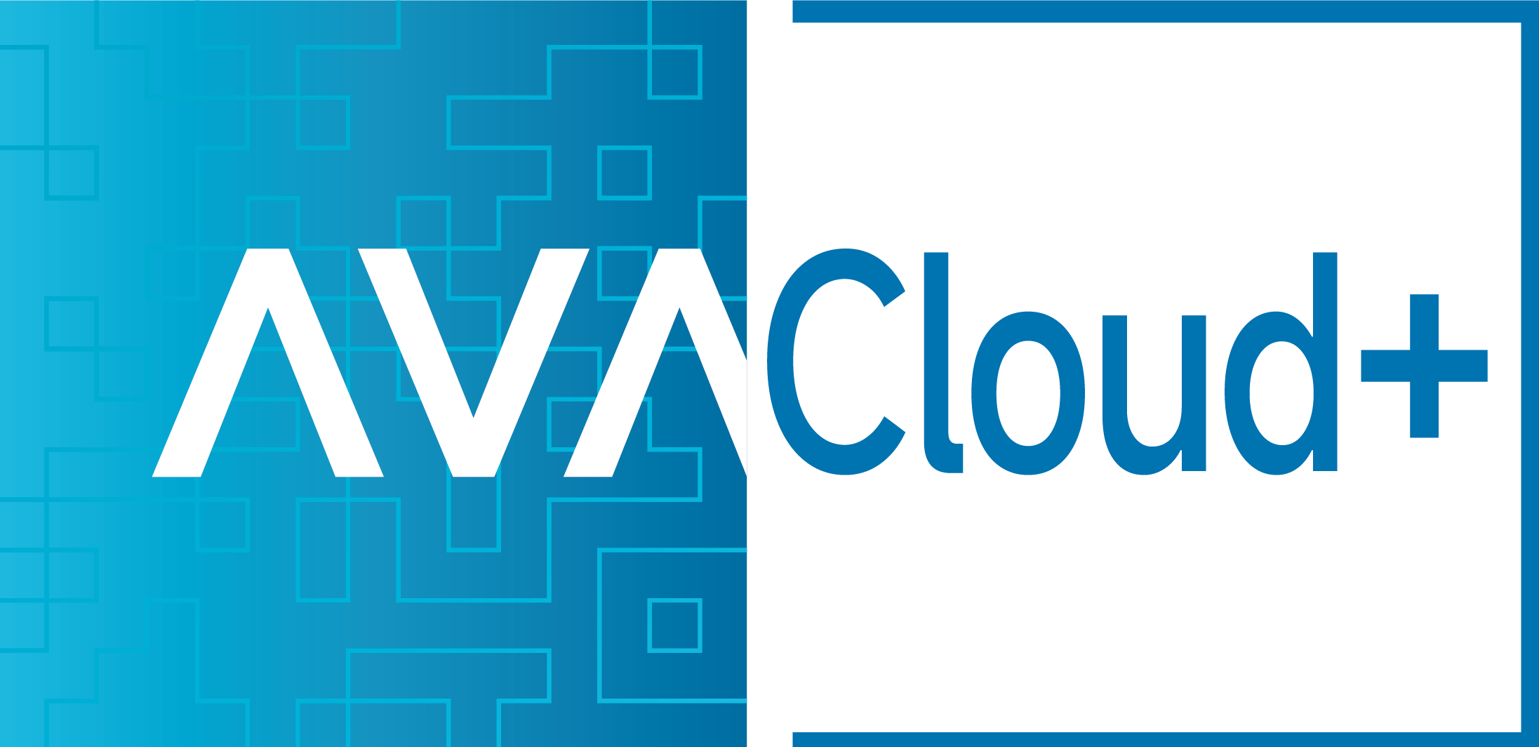 AVA – Fast and low-cost customization of digital business